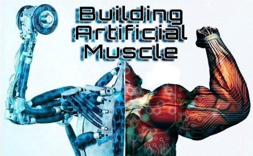 Origami Muscles Lift 1,000 Times Their Own Weight - Innovation & Tech Today