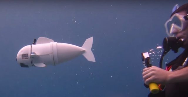 This Robotic Fish is Revolutionizing Marine Research - Innovation ...